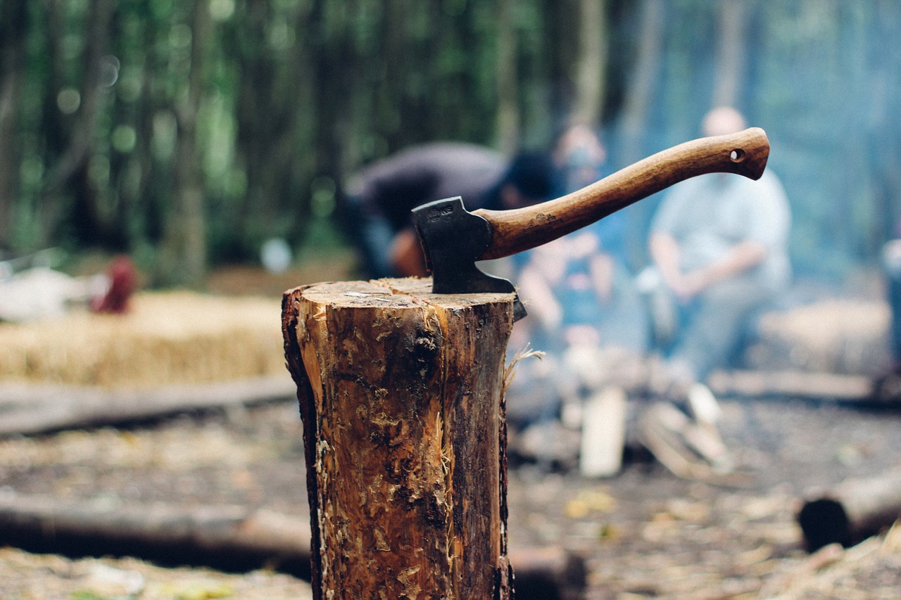How To Season Firewood (A Complete Guide)