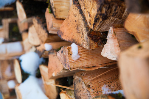 Whether Firewood Can Go Bad (Can Firewood be Too Old?)