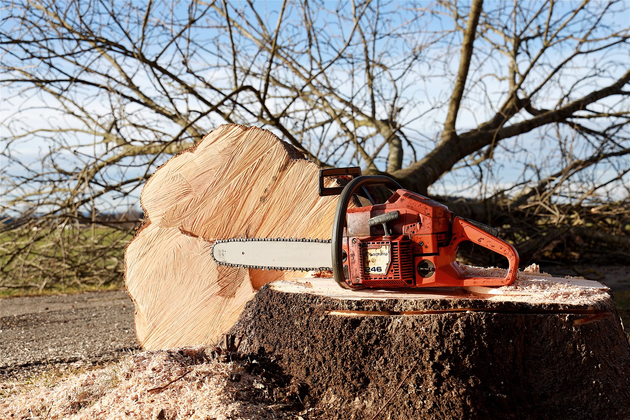 How to Build a Log Holder for Cutting Firewood? (User’s Guide)