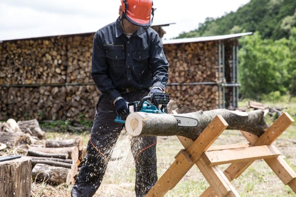 How to Build a Log Holder for Cutting Firewood? (User’s Guide)